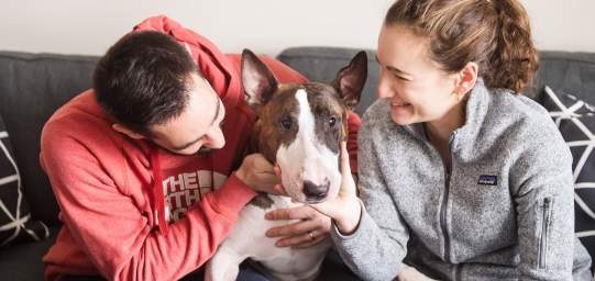 Real Estate Services | Apartment Rentals | CLV Group