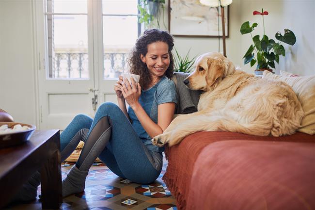 Respect Your Neighbours: 6 Tips for living with pets | Hazelview Properties